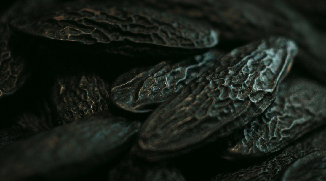 Que faire avec la fève de tonka ? Recettes et conseils d’utilisation